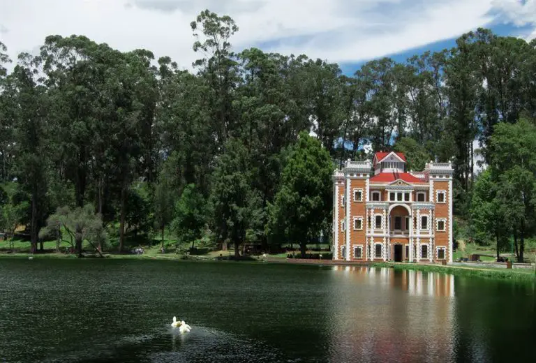 Historia De Santa Inés: Vida Y Obra Que Debes Conocer