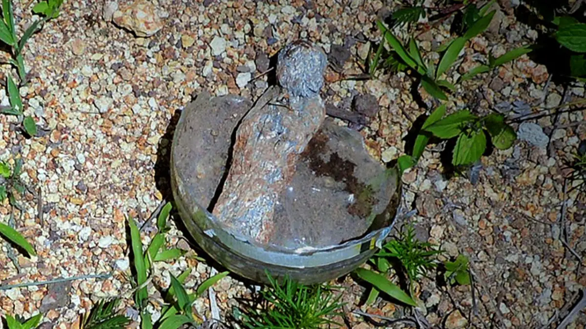 Conozca Todo Lo Necesario Sobre El Ritual Vudú Aquí.