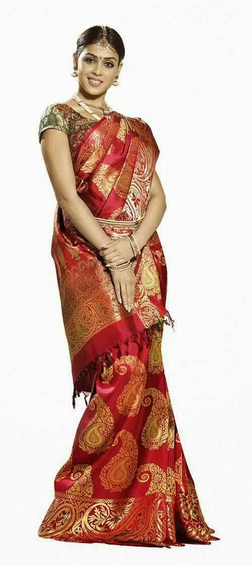 Cultura Hindú: historia, costumbres. Características, vestimenta y ...